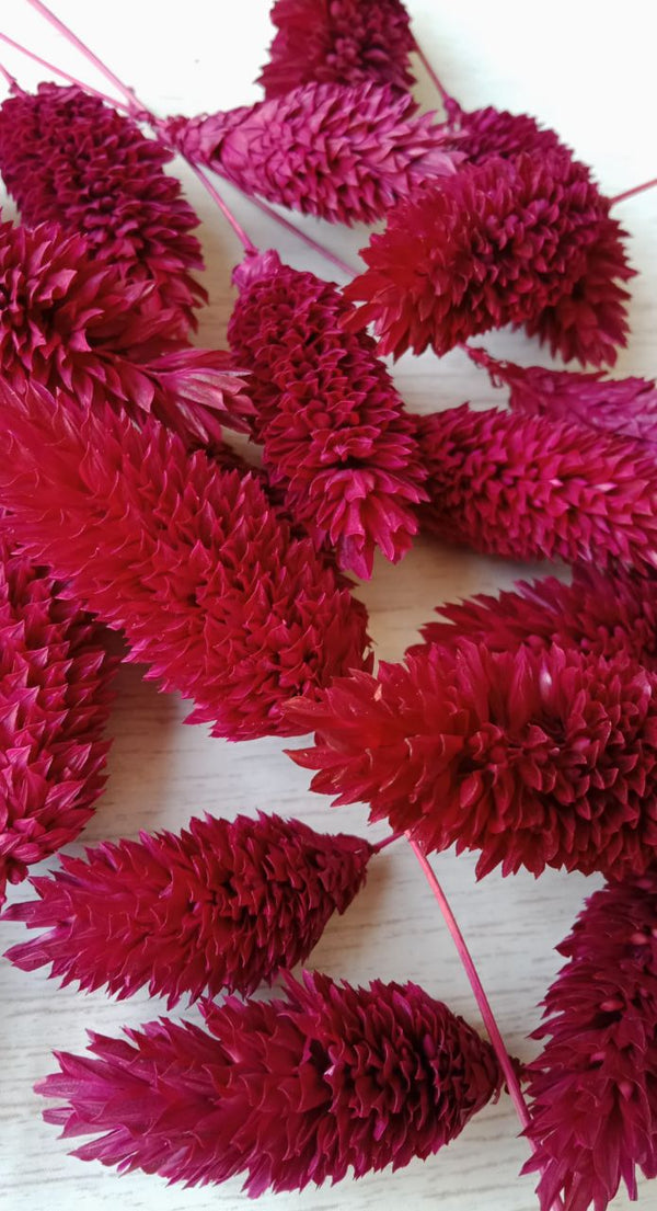 ورد مجفف لتزين الريزن لون بينك غامق – mo3edatk